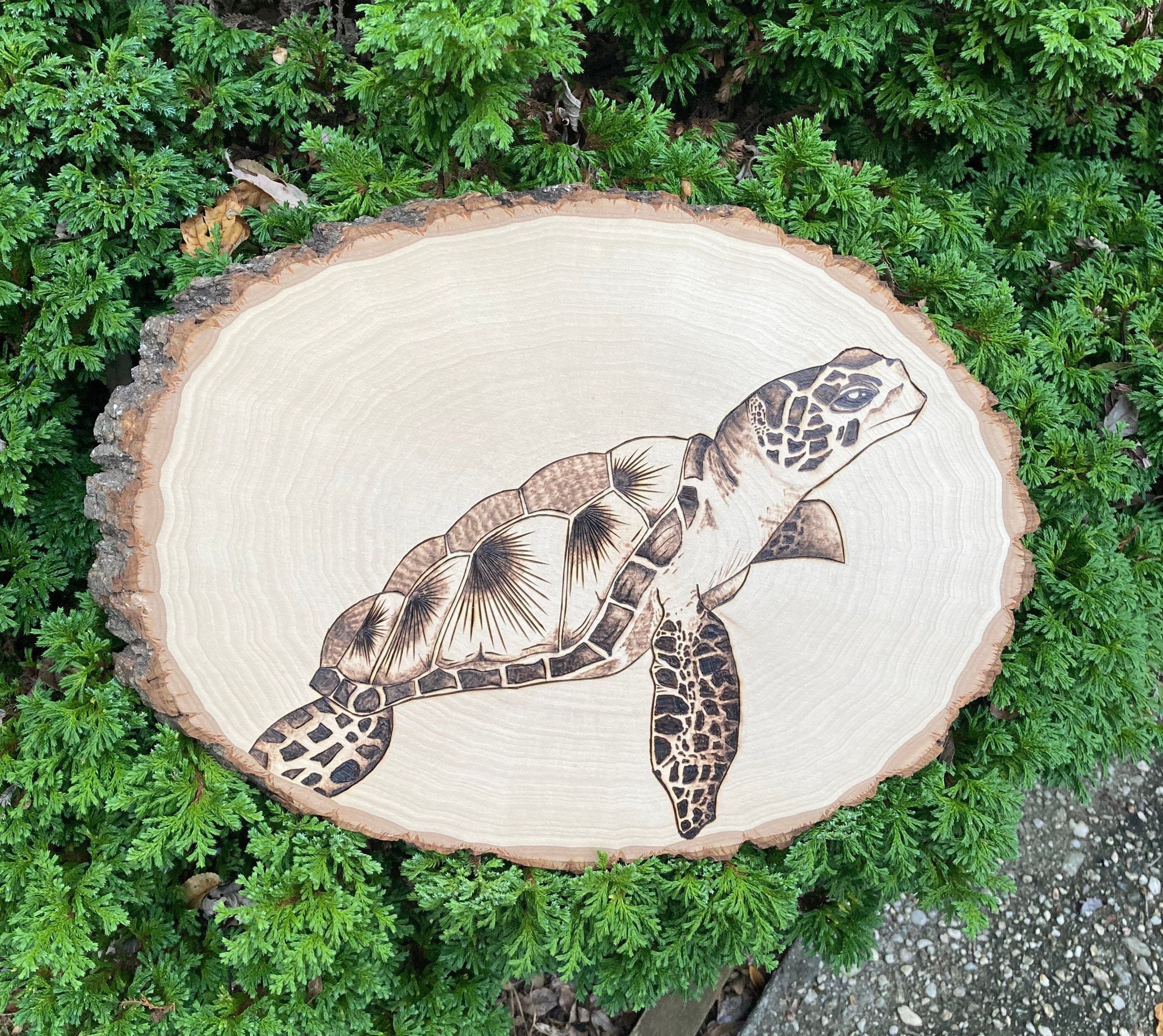 Sea Turtle Wall Art, Finding Nemo Wall Art, Sea Turtle Gifts, Turtle ...