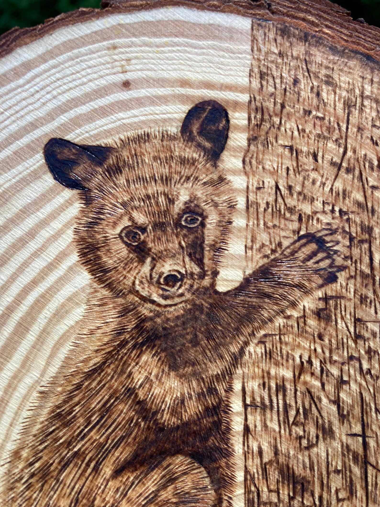 Bear Wood Art, Wood Burning Art, Wood Wall Art, Animal Art, Pyrography ...