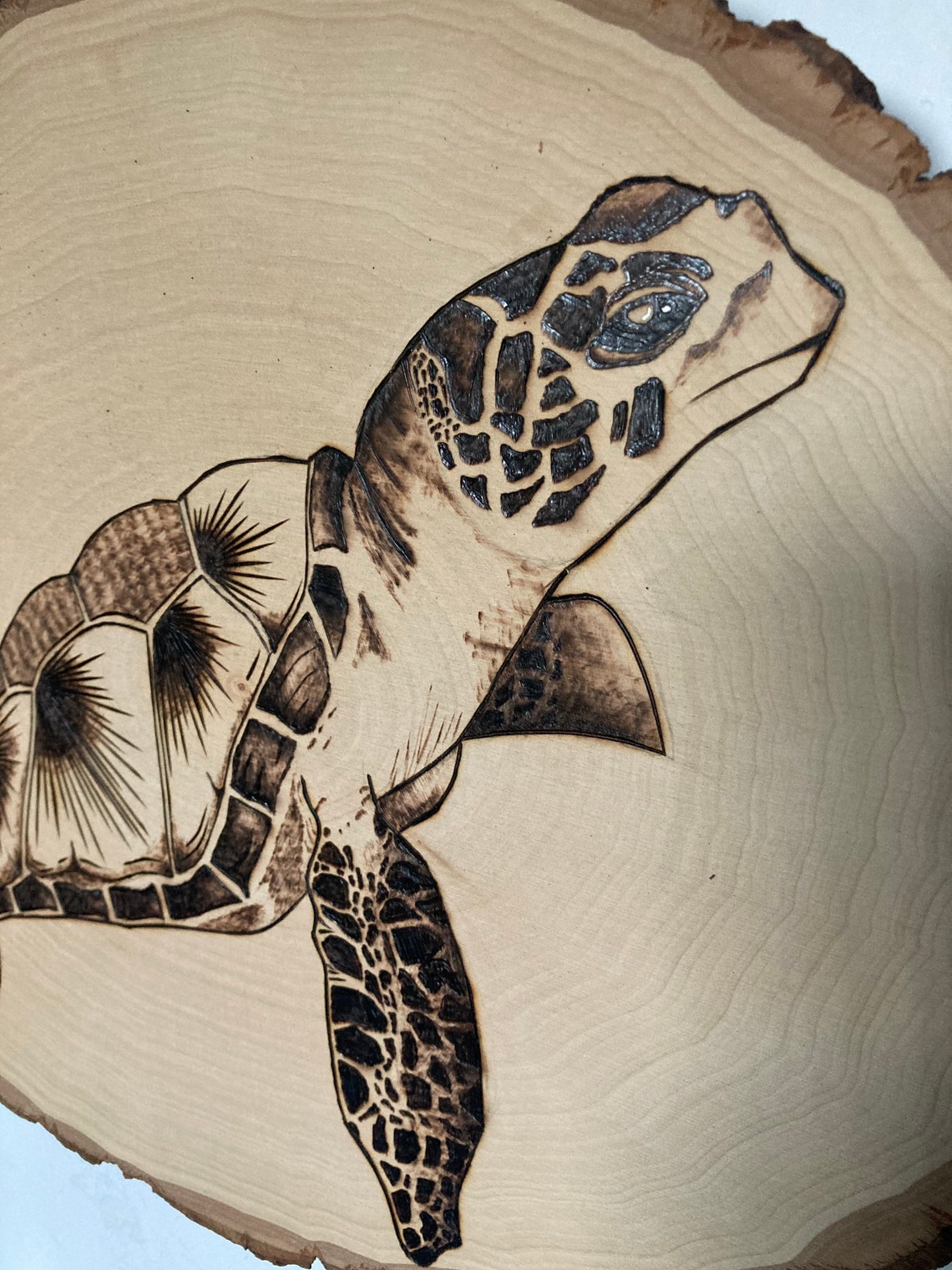 Sea Turtle Wall Art, Finding Nemo Wall Art, Sea Turtle Gifts, Turtle ...