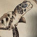 Sea Turtle Wall Art, Finding Nemo Wall Art, Sea Turtle Gifts, Turtle ...