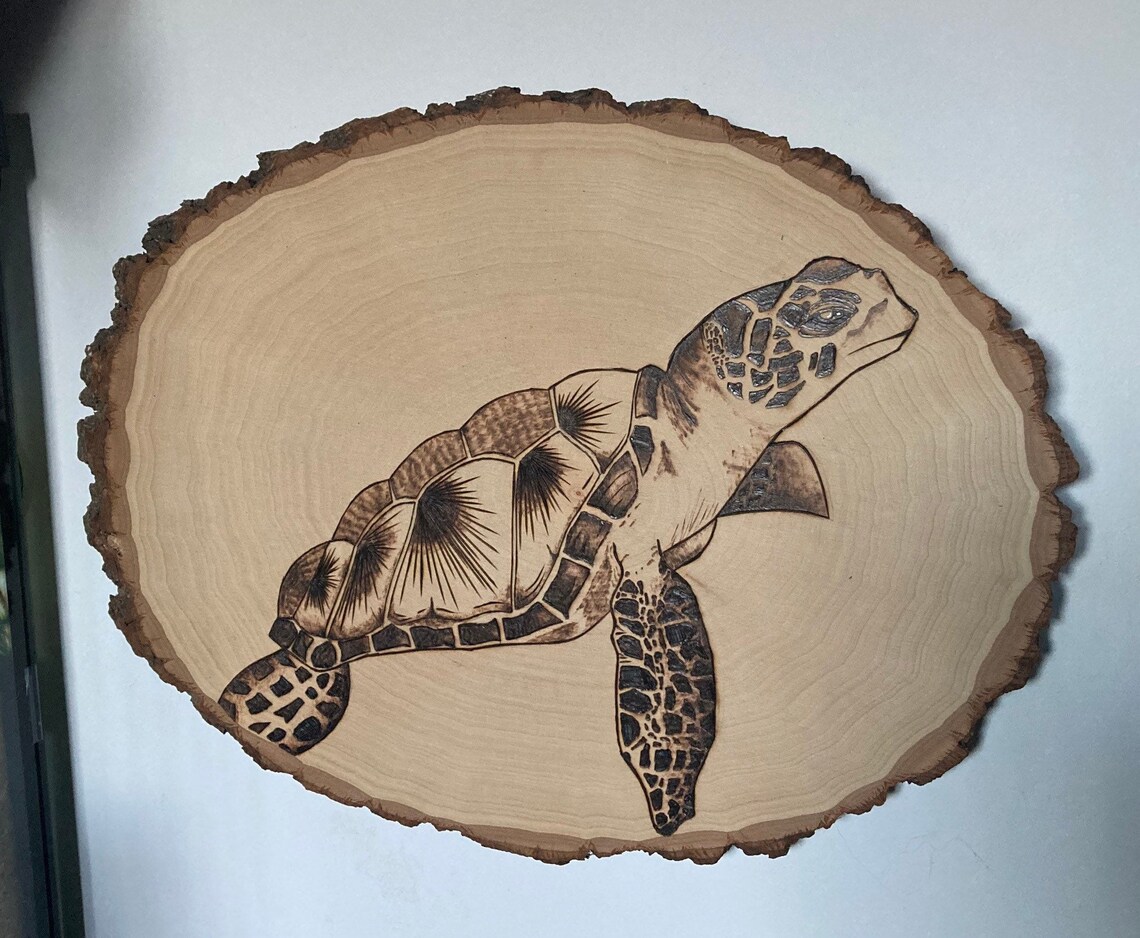 Sea Turtle Wall Art, Finding Nemo Wall Art, Sea Turtle Gifts, Turtle ...