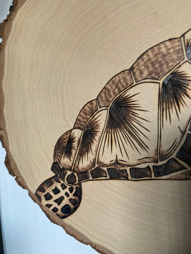 Sea Turtle Wall Art, Finding Nemo Wall Art, Sea Turtle Gifts, Turtle ...