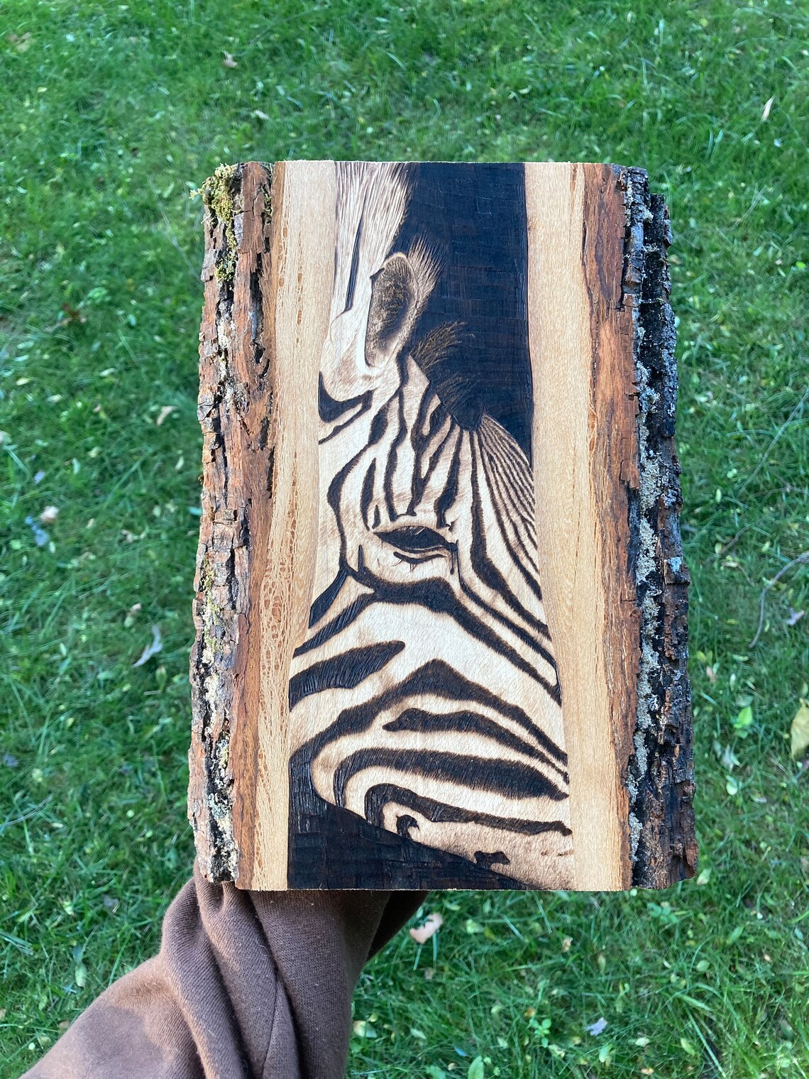 Zebra Wildlife Wall Art Wood Burning Art Zebra Wall Decor - Etsy