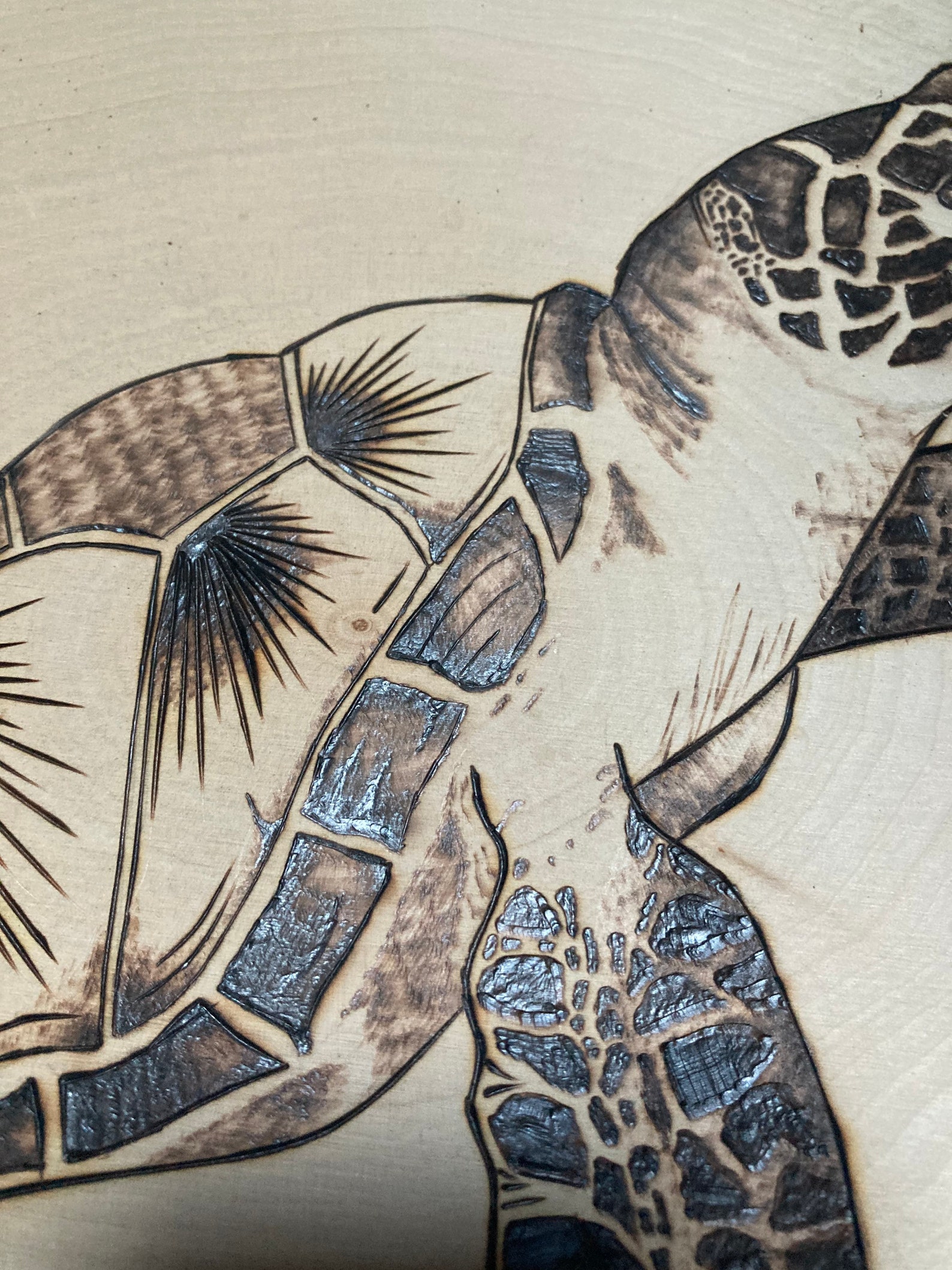 Sea Turtle Wall Art, Finding Nemo Wall Art, Sea Turtle Gifts, Turtle ...
