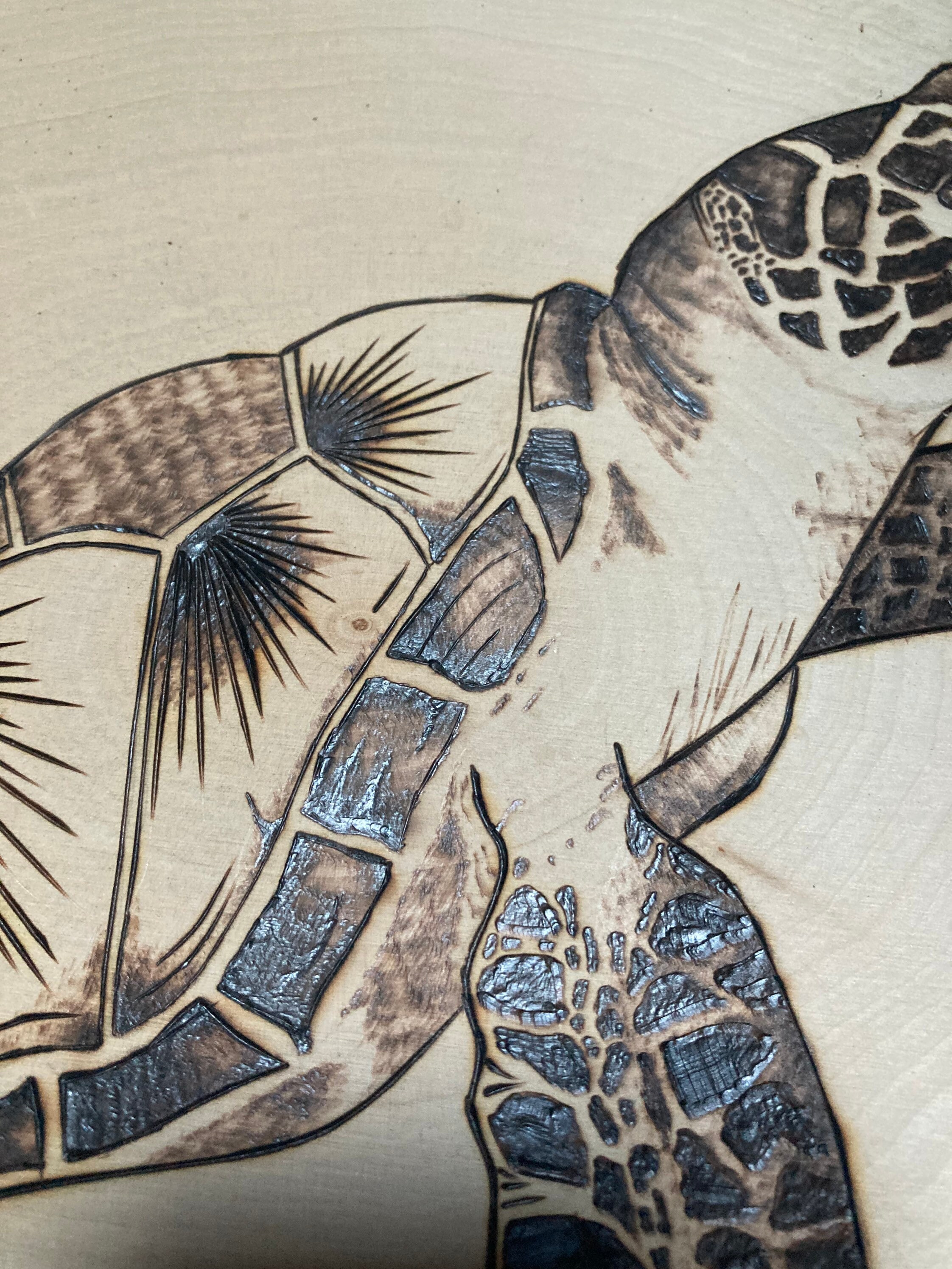 Sea Turtle Wall Art, Finding Nemo Wall Art, Sea Turtle Gifts, Turtle ...