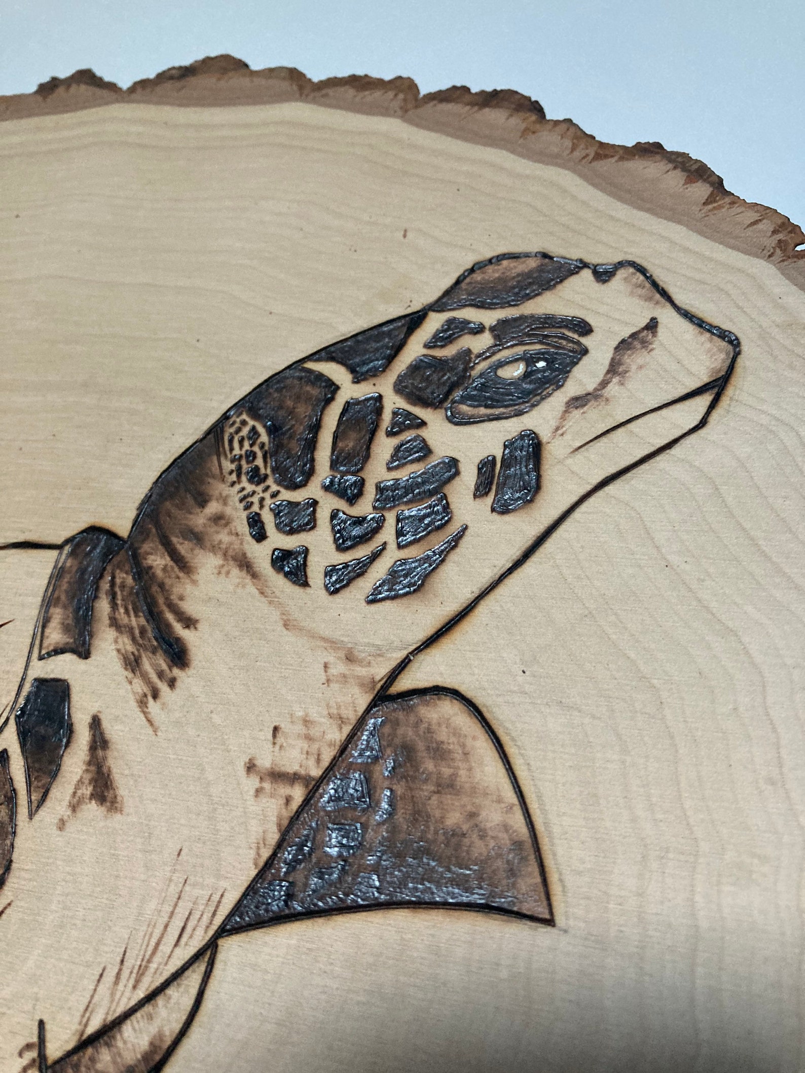 Sea Turtle Wall Art, Finding Nemo Wall Art, Sea Turtle Gifts, Turtle ...