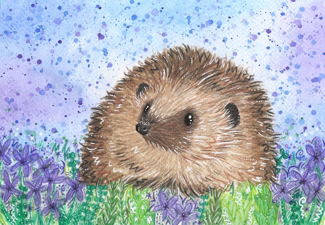 Hedgehog Original Watercolour Painting Wildlife, Nature, Hodgeheg ...