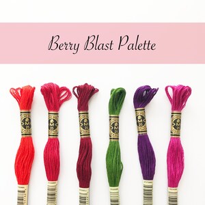 DMC 6 Strand Embroidery Thread, BERRY BLAST, Embroidery Floss, Colour ...