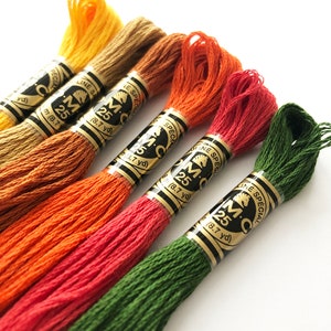 DMC 6 Strand Embroidery Thread, INDIAN SUMMER, Embroidery Floss, Colour ...