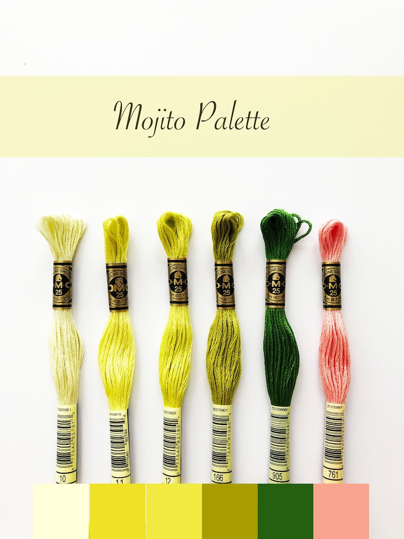 DMC 6 Strand Embroidery Thread, MOJITO, Embroidery Floss, Colour ...