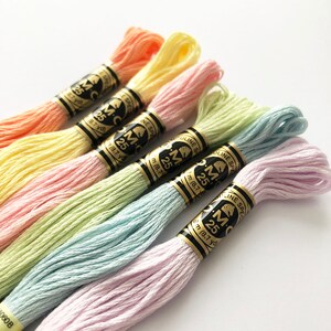 DMC 6 Strand Embroidery Thread, PASTEL RAINBOW, Embroidery Floss ...