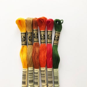 DMC 6 Strand Embroidery Thread, INDIAN SUMMER, Embroidery Floss, Colour ...