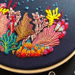 Rainbow Coral Embroidery Kit, Needlecraft Kit, Embroidery Pattern ...