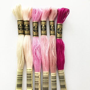 DMC 6 Strand Embroidery Thread, ROSES, Embroidery Floss, Colour Palette ...