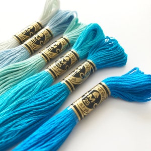 DMC 6 Strand Embroidery Thread, SEA BREEZE, Embroidery Floss, Colour ...
