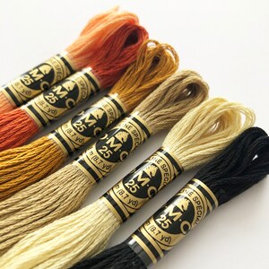 DMC 6 Strand Embroidery Thread, BOHO, Bohemian Palette Embroidery Floss, Colour Palette Pack ...