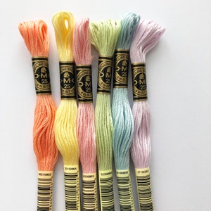 DMC 6 Strand Embroidery Thread, PASTEL RAINBOW, Embroidery Floss ...