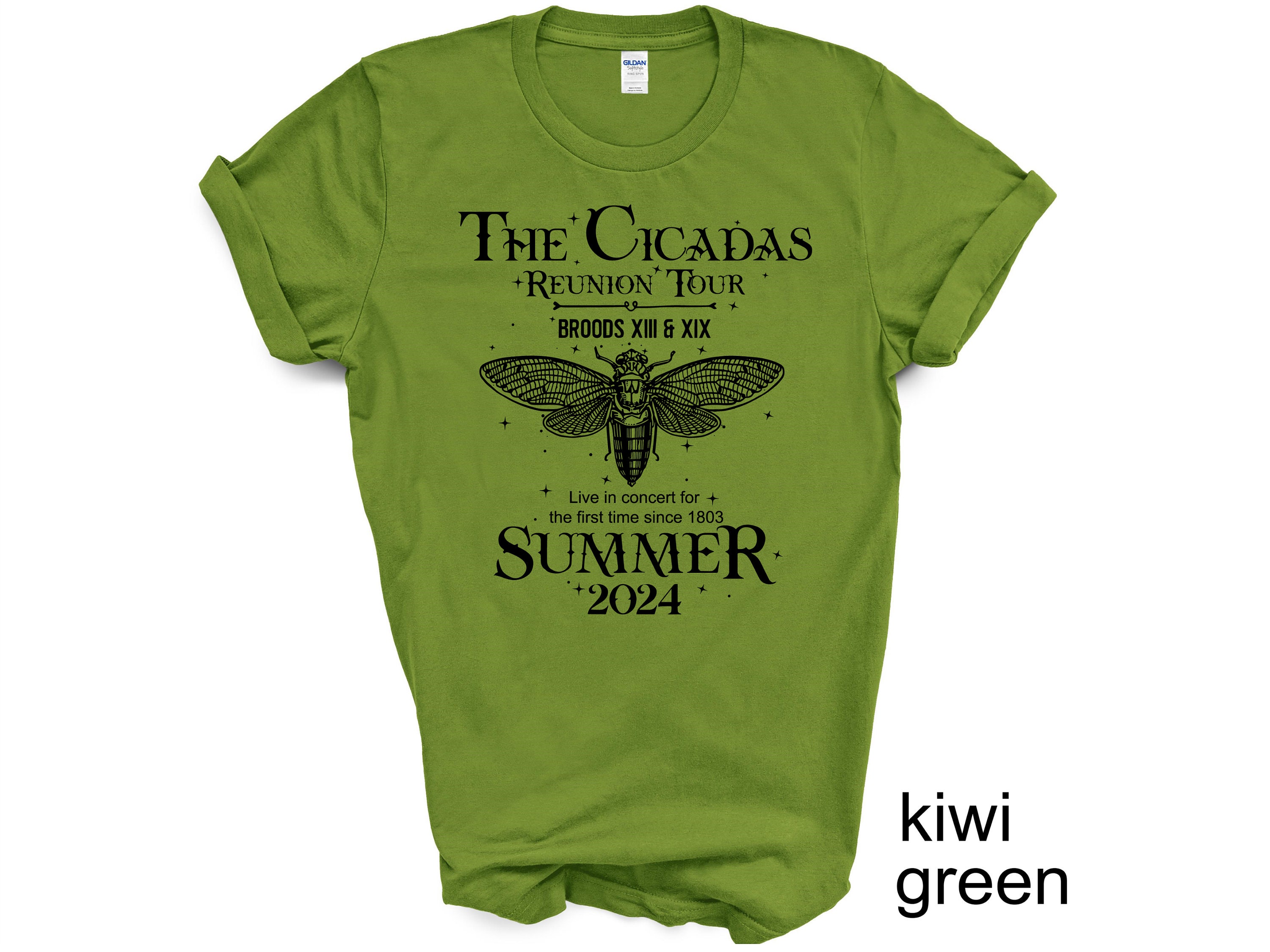 The Cicadas Shirt 2024 Cicada Reunion Tee Funny Cicada Concert T-shirt ...