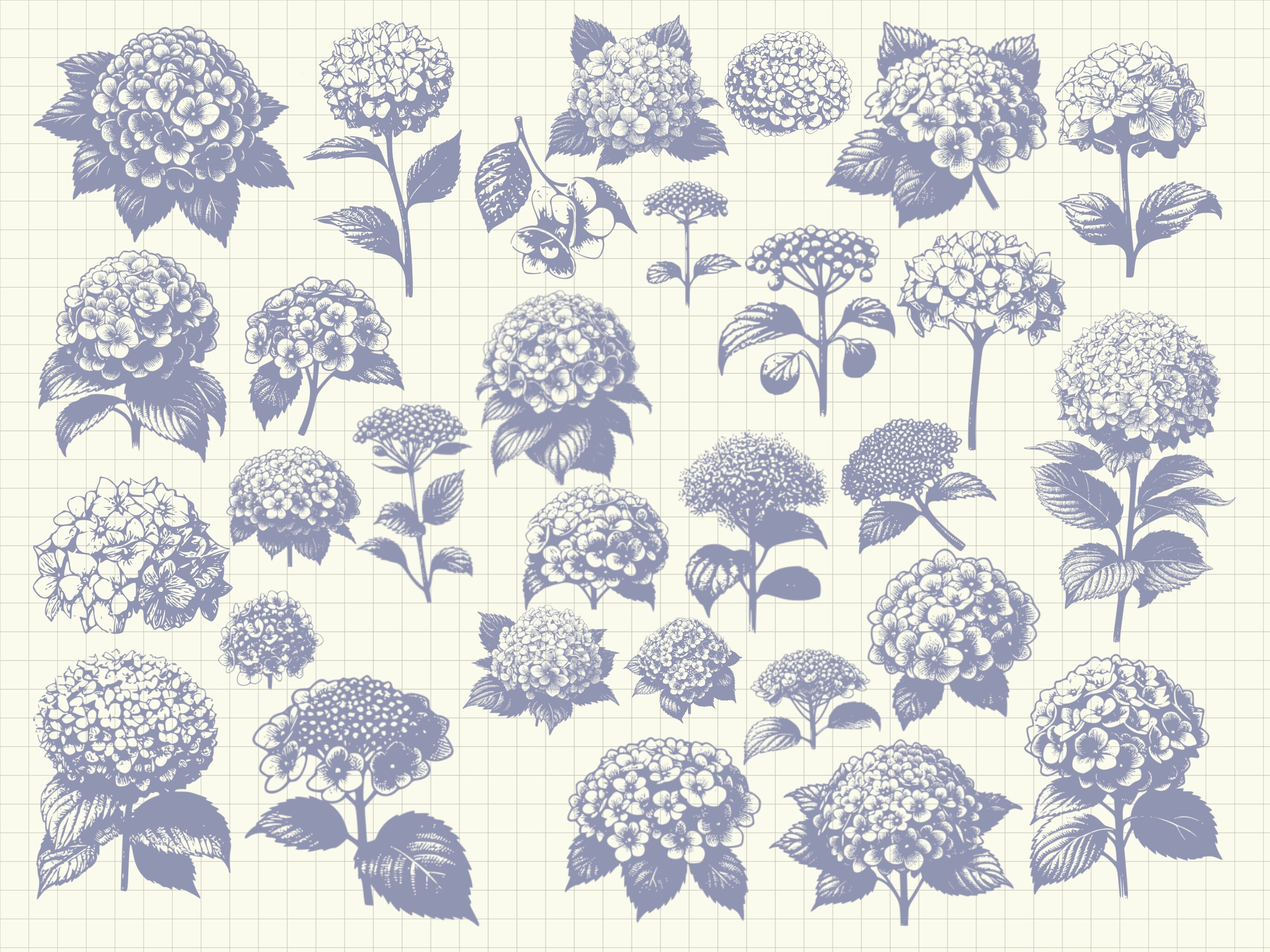 30 Hydrangea Procreate Stamp Brushes for Procreate - DIGITAL DOWNLOAD - Etsy