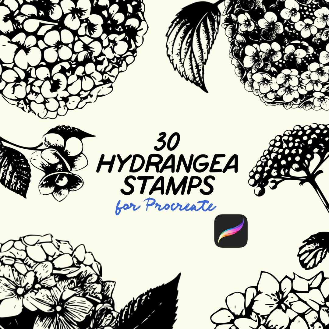 30 Hydrangea Procreate Stamp Brushes for Procreate - DIGITAL DOWNLOAD - Etsy
