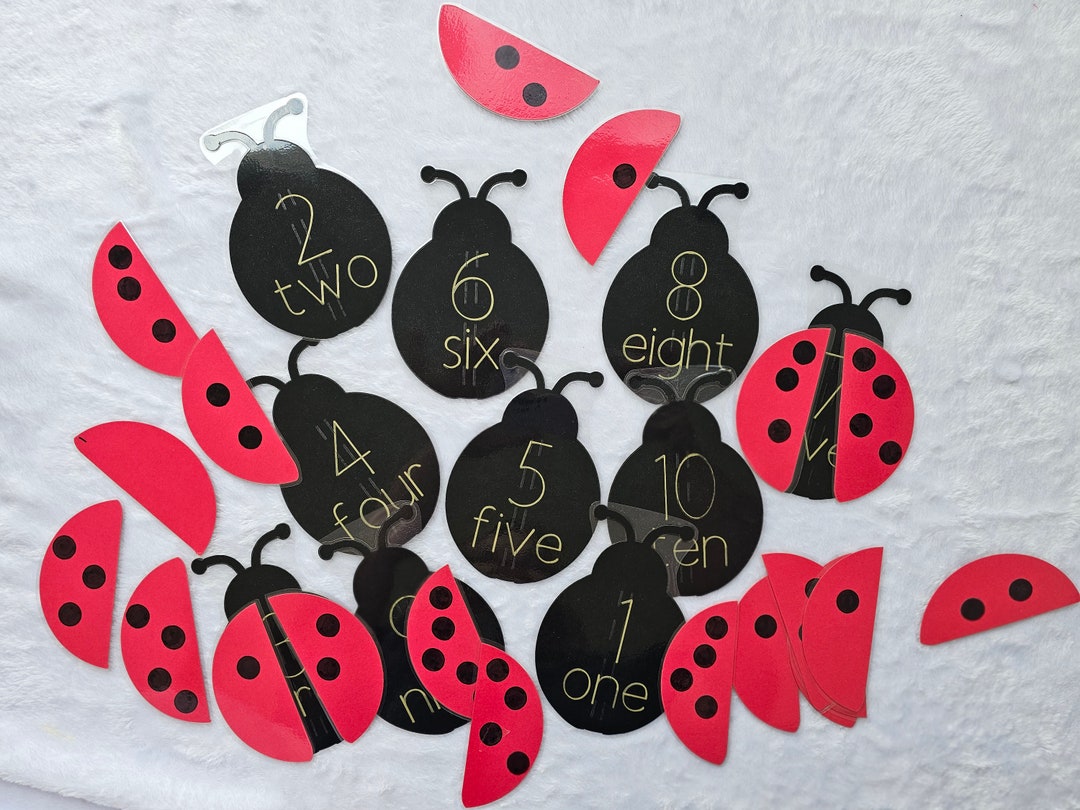 Ladybug Addition Learning Set: Math Counting Toy - Etsy