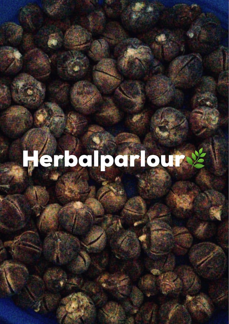 Snot Apple Aka Gorontula 30 fruits secs Différentes tailles. - Etsy France