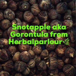 Snot Apple Aka Gorontula 30 Dried Fruits Various Sizes. - Etsy