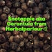 Snot Apple Aka Gorontula 30 Dried Fruits Various Sizes. - Etsy
