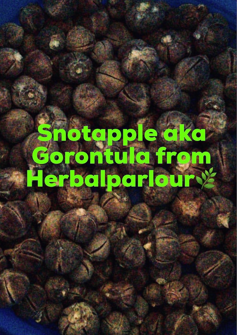 Snot Apple Aka Gorontula 30 Dried Fruits Various Sizes. - Etsy