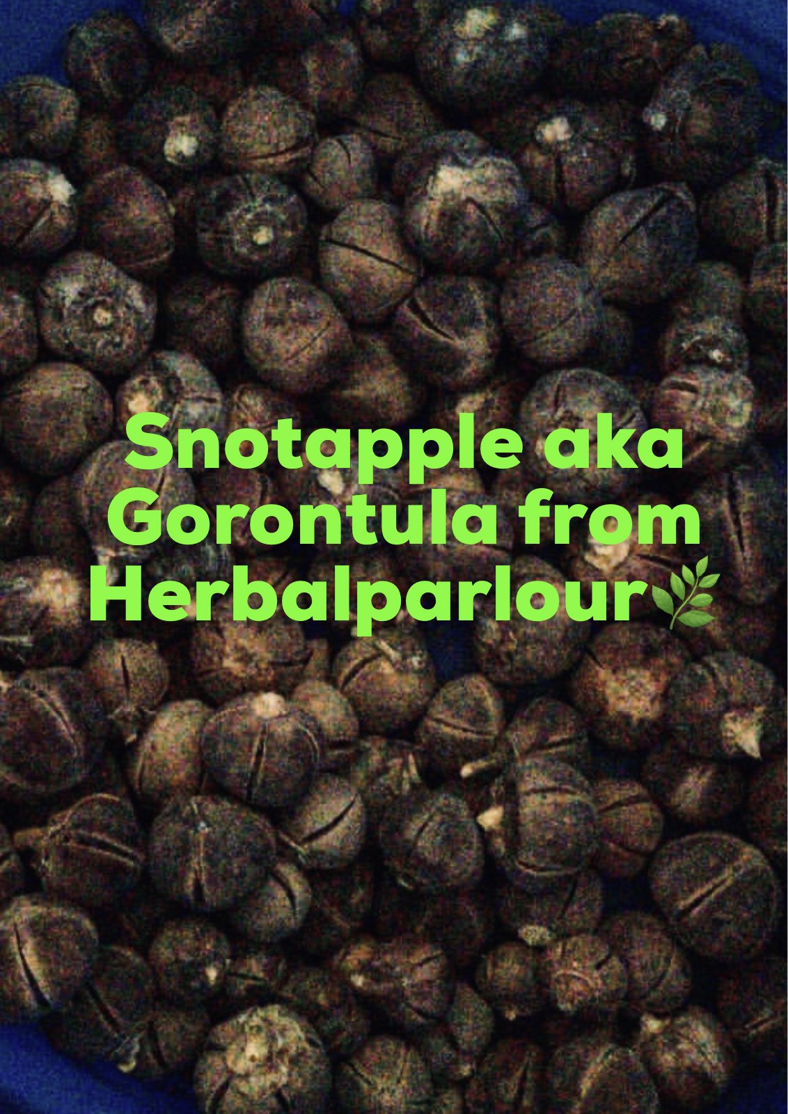 Snot Apple Aka Gorontula 30 Dried Fruits Various Sizes. - Etsy