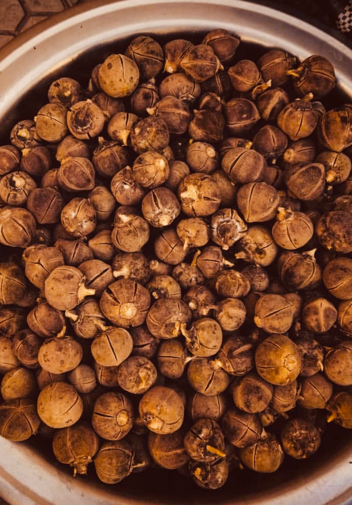 Snot Apple Gorontula aka Silky Kola 60 fruits. | Etsy