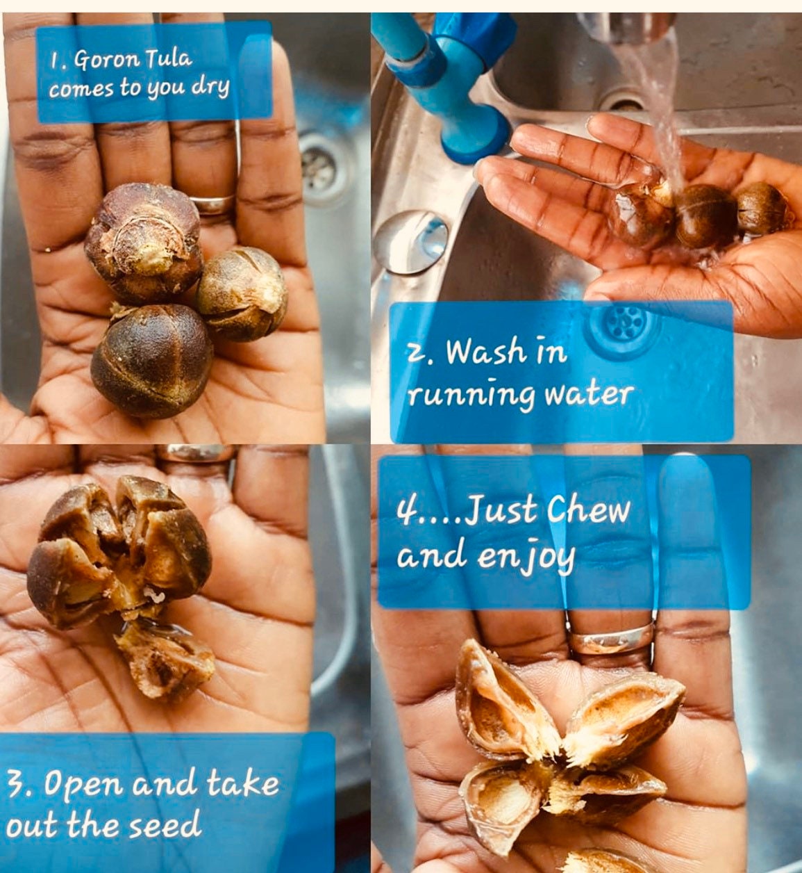 Snot Apple Aka Gorontula 30 Dried Fruits Various Sizes. - Etsy