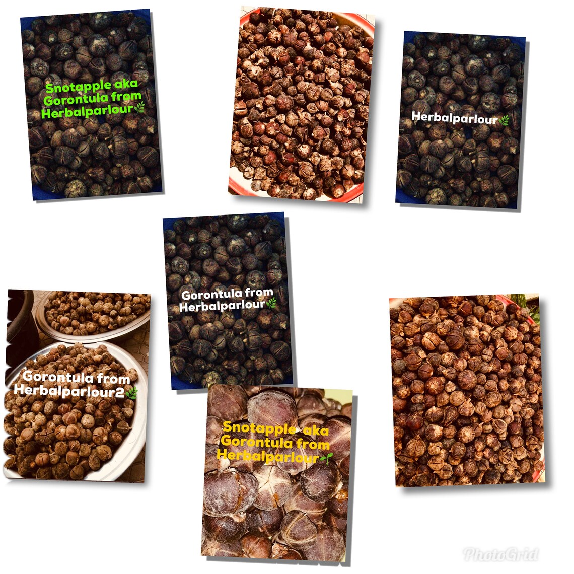 Snot Apple Aka Gorontula 30 Dried Fruits Various Sizes. - Etsy