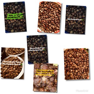 Snot Apple Aka Gorontula 30 Dried Fruits Various Sizes. - Etsy