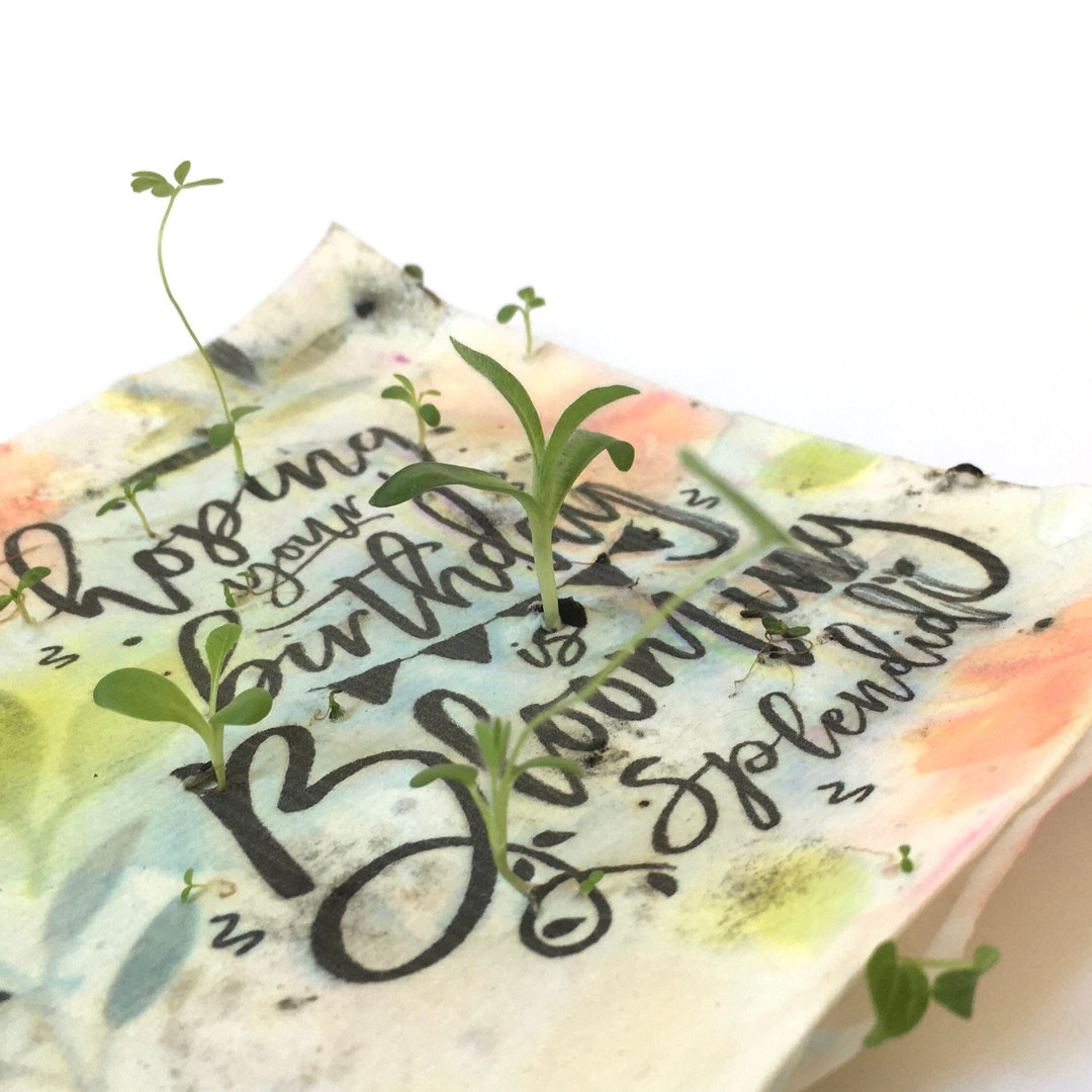 Plantable Birthday Card | Blooming Splendid Birthday | Supporting ...