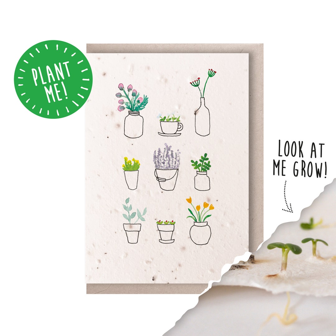 Plantable Seed Card / Pot Plant Watercolour / Plant Lady / - Etsy
