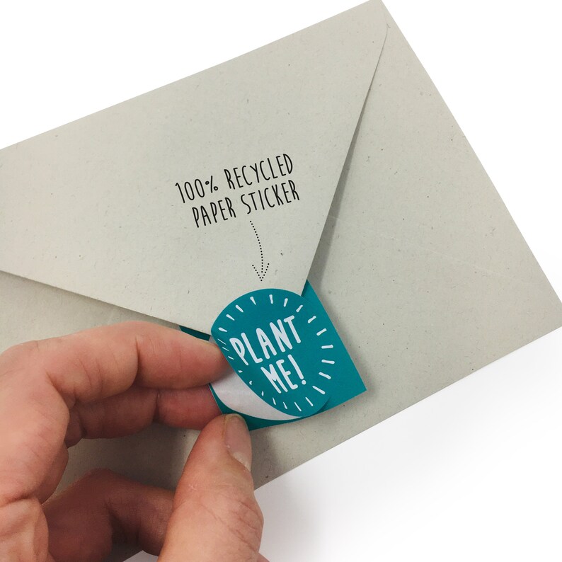 Plantable Seed Card Middle Finger Flip the Bird | Etsy