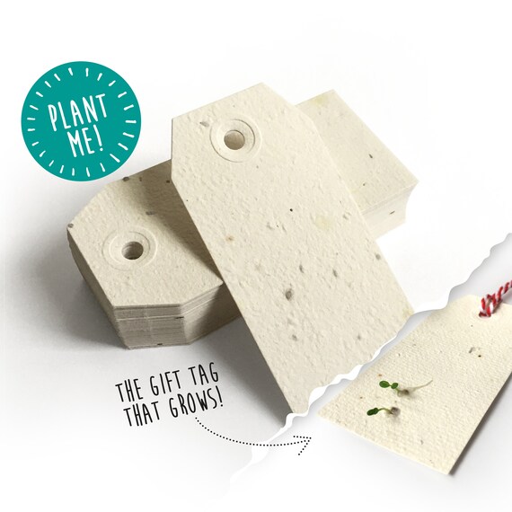 Plantable Seed Paper Gift Tags Wildflower Parcel Tag | Etsy