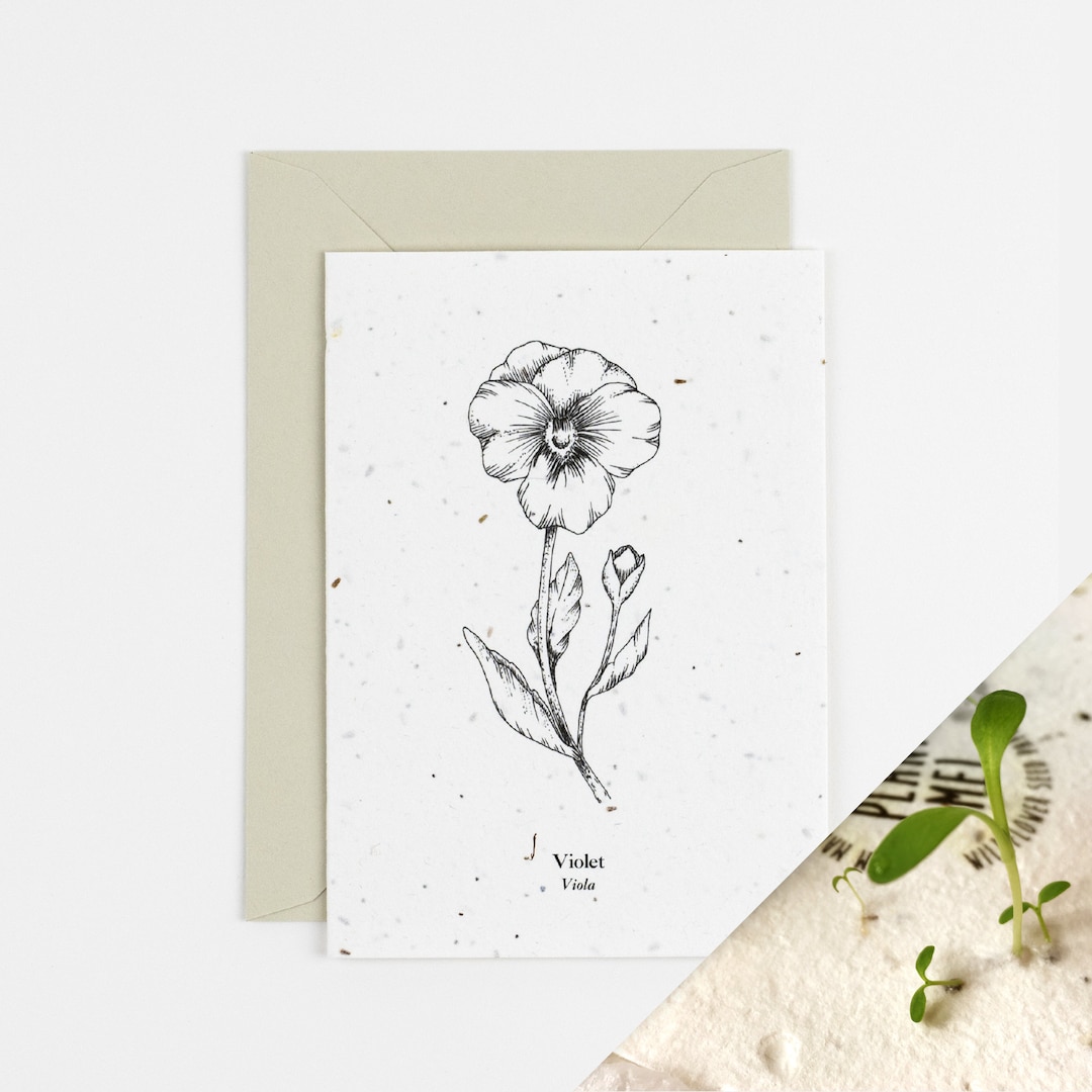Violet February Birth Flower Plantable Card | Symbolises Love | Wedding ...