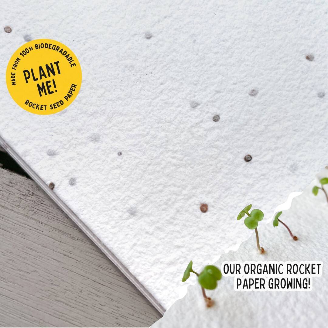 Plantable Arugula Seed Paper: Handmade A4 Size - Etsy
