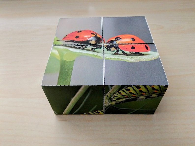 Puzzle Cubes - Printable Blocks - Montessori Puzzle - DIY Paper Cube ...