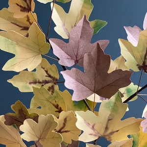 Paper Plant Templates SVG + PDF: Field Maple - Etsy