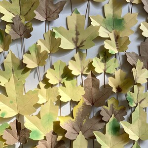 Paper Plant Templates SVG + PDF: Field Maple - Etsy