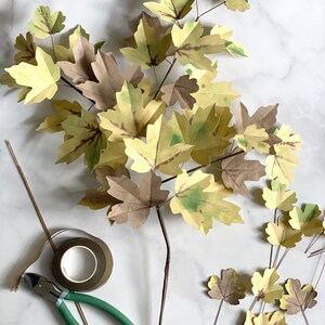 Paper Plant Templates SVG + PDF: Field Maple - Etsy