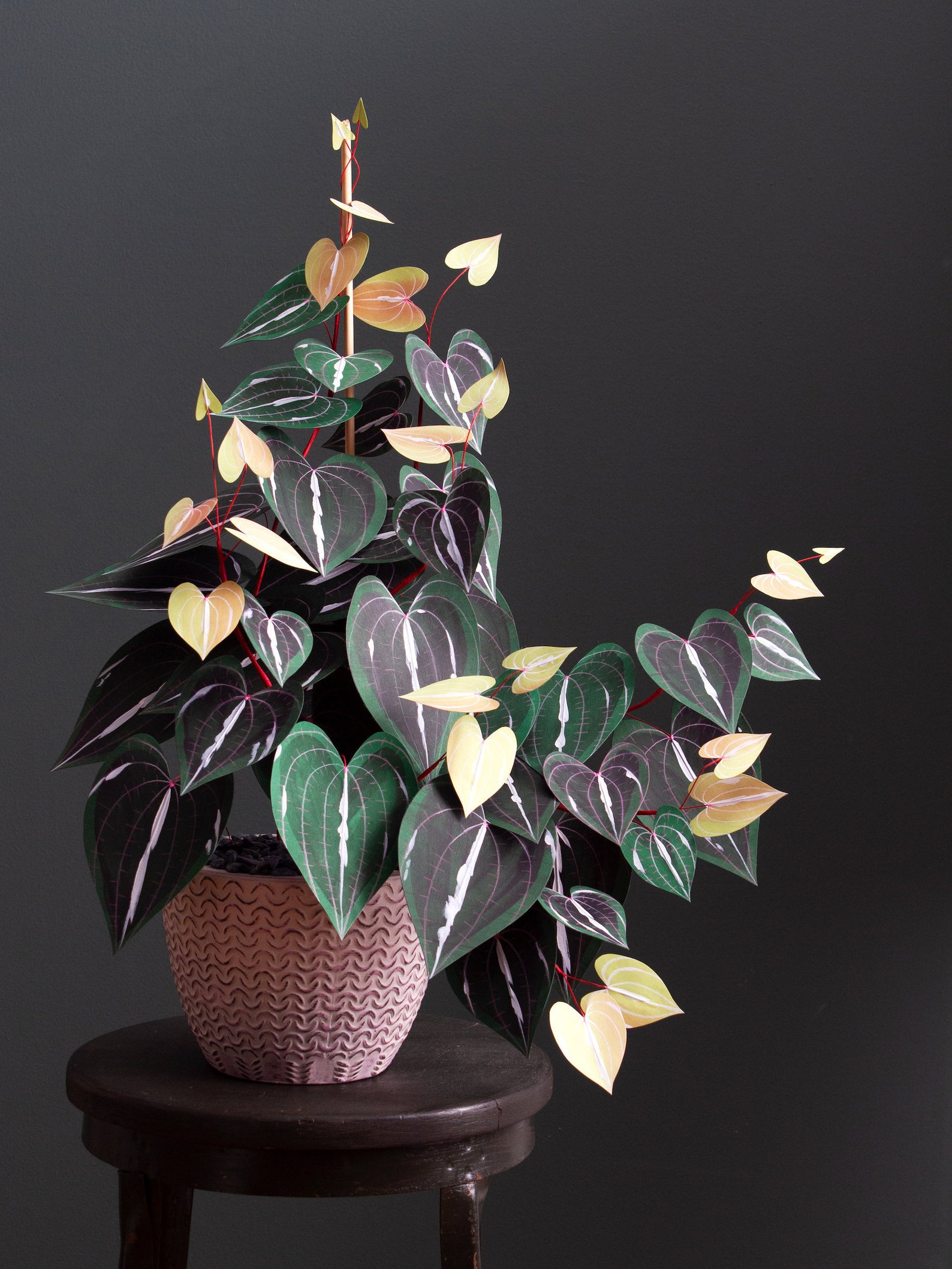 Paper Plant Tutorial PDF: Ornamental Yam - Etsy