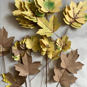 Paper Plant Templates SVG + PDF: Field Maple - Etsy