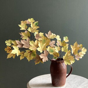 Paper Plant Templates SVG + PDF: Field Maple - Etsy