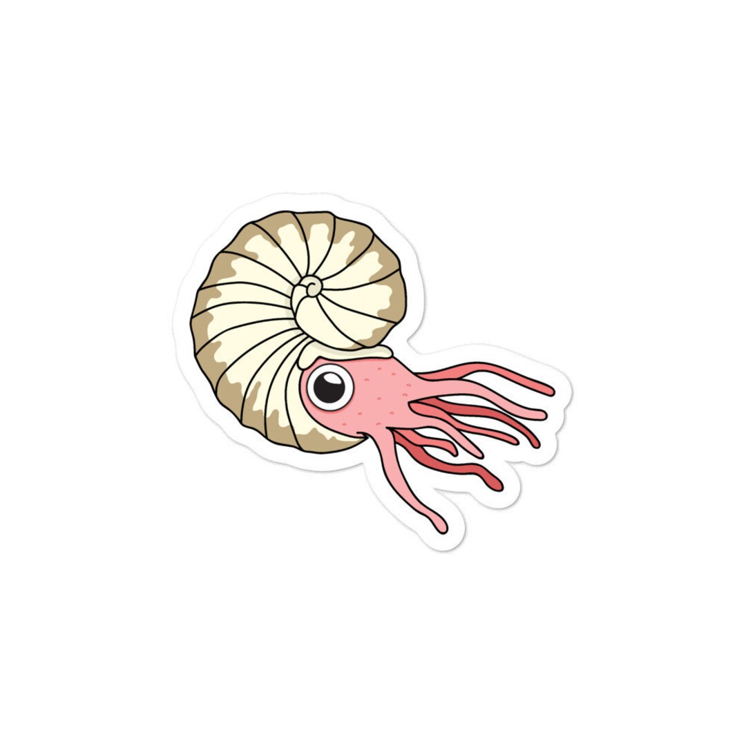 Ammonite - Adventucation Sticker - Etsy
