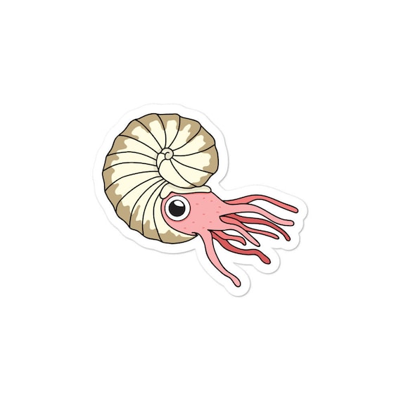 Ammonite Adventucation Sticker - Etsy