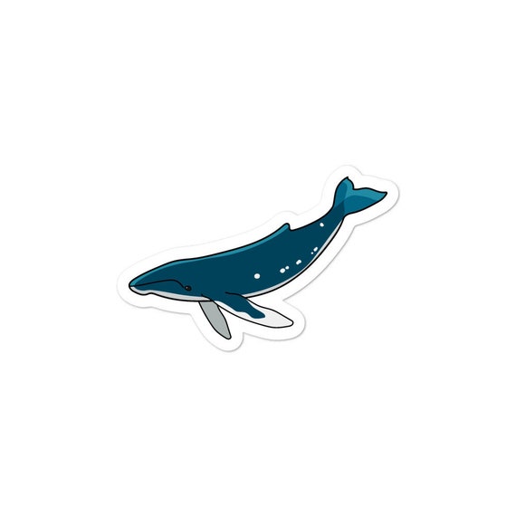 Humpback Whale Adventucation Sticker | Etsy